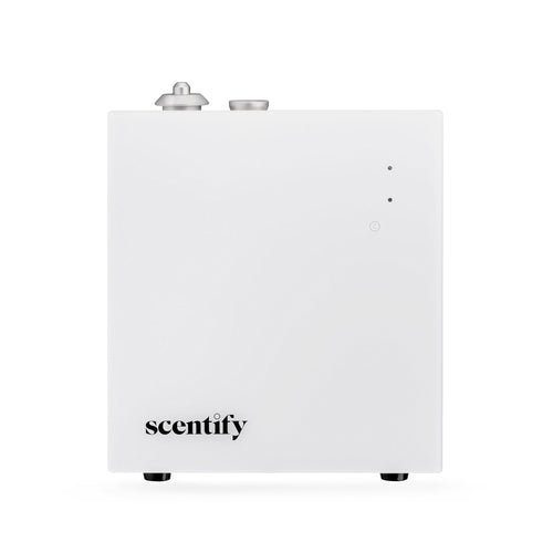 Love At First Scent – Scentify